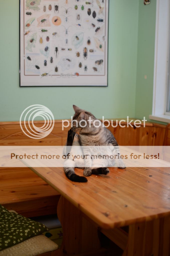 The perfect place | B329