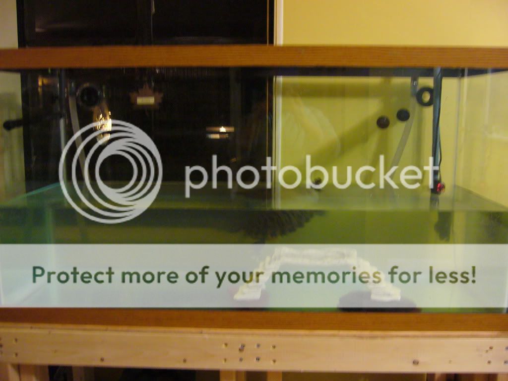 Redearslider.com :: View topic - HELP!!! My Rena XP4 filter stopped working