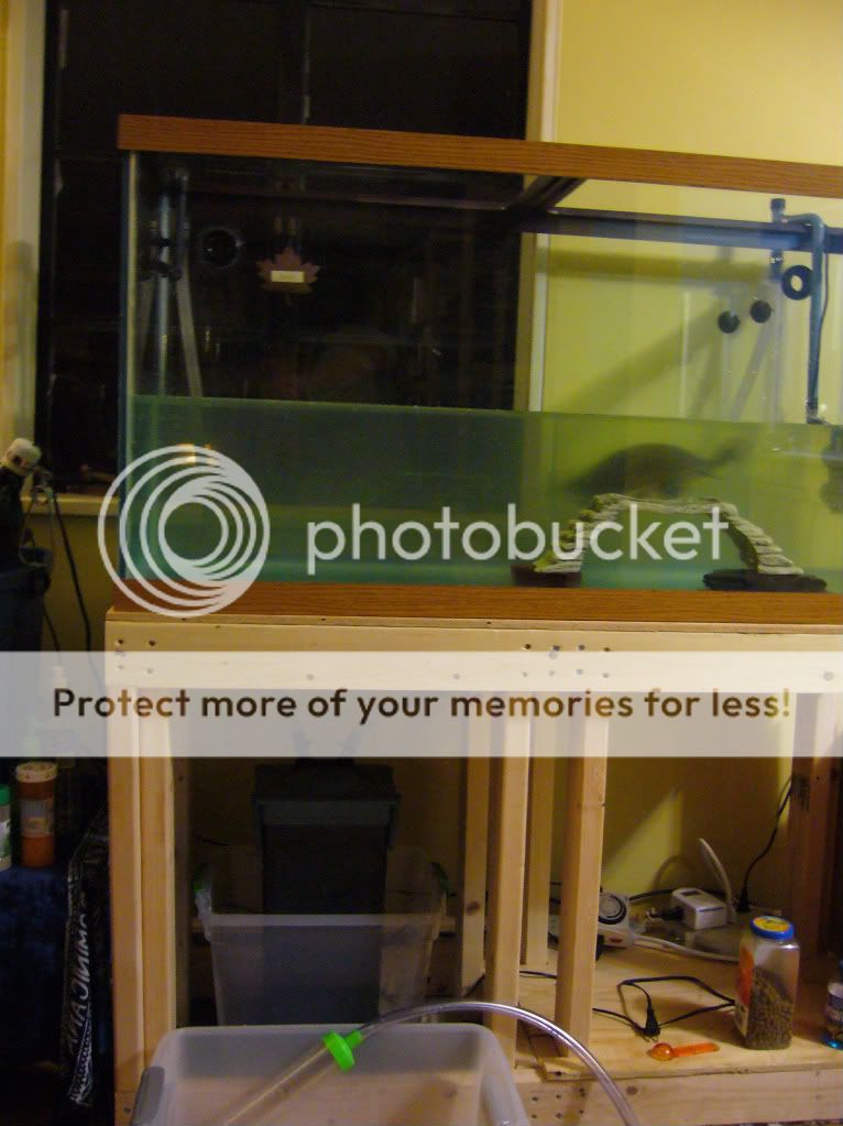 Redearslider.com :: View topic - HELP!!! My Rena XP4 filter stopped working