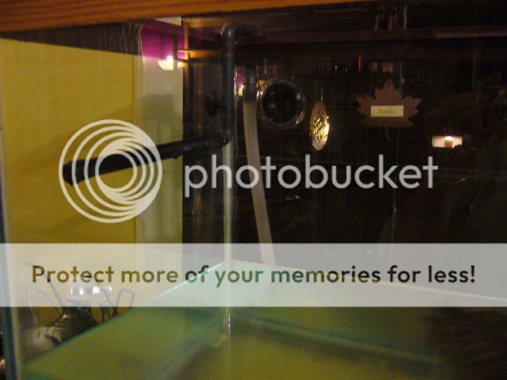 Redearslider.com :: View topic - HELP!!! My Rena XP4 filter stopped working