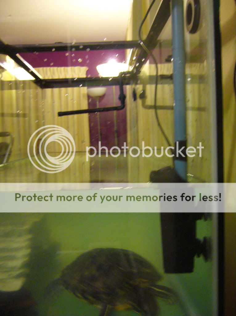 Redearslider.com :: View topic - HELP!!! My Rena XP4 filter stopped working